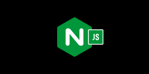Modern JavaScript in NGINX: QuickJS Engine Support for njs – NGINX Community Blog